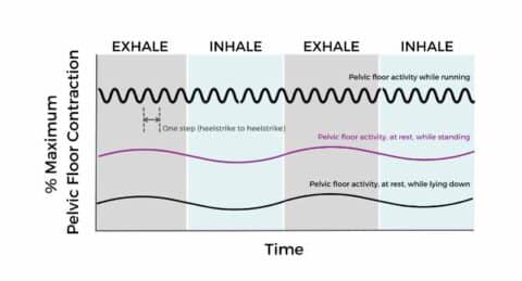 Running And Your Pelvic Floor: Are You Holding A Kegel?